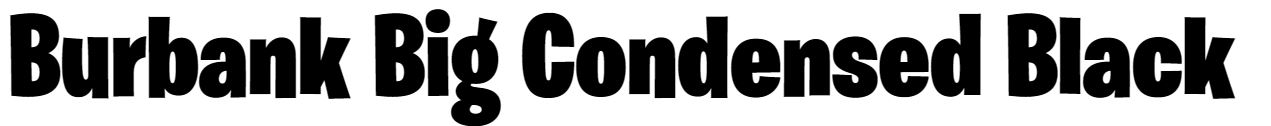 Burbank Big Condensed Black font - Dafont